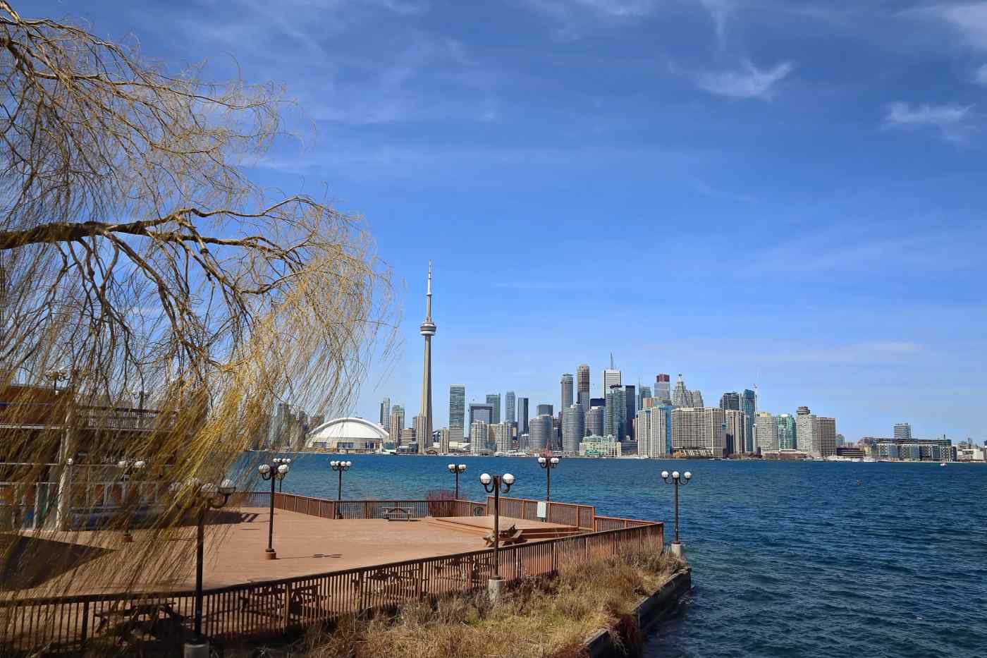 Top 5 Things to do in Toronto