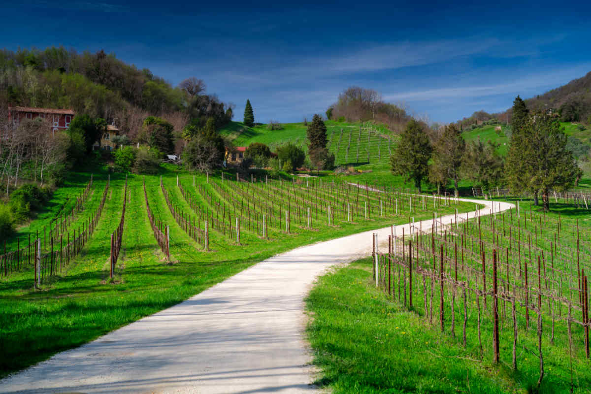 Explore the Venetian Countryside of Italy - Holiday Package & Tour
