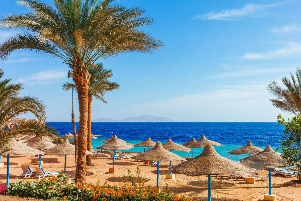 Dubai & Egypt - Vacation Package & Tour