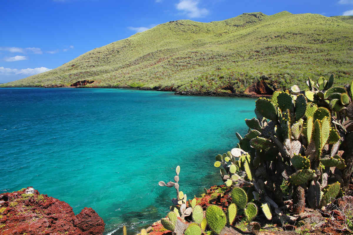 Quito & The Astonishing Galapagos | Galapagos Vacation Packages | Great ...