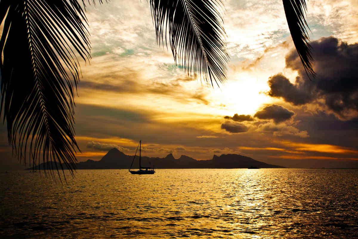 Polynesian Paradise - Vacation Package & Tour
