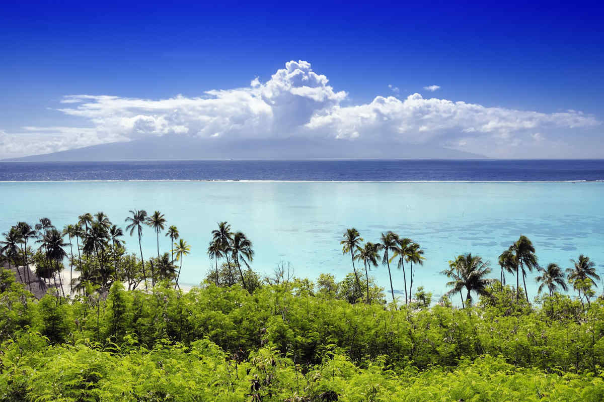 Polynesian Paradise - Vacation Package & Tour