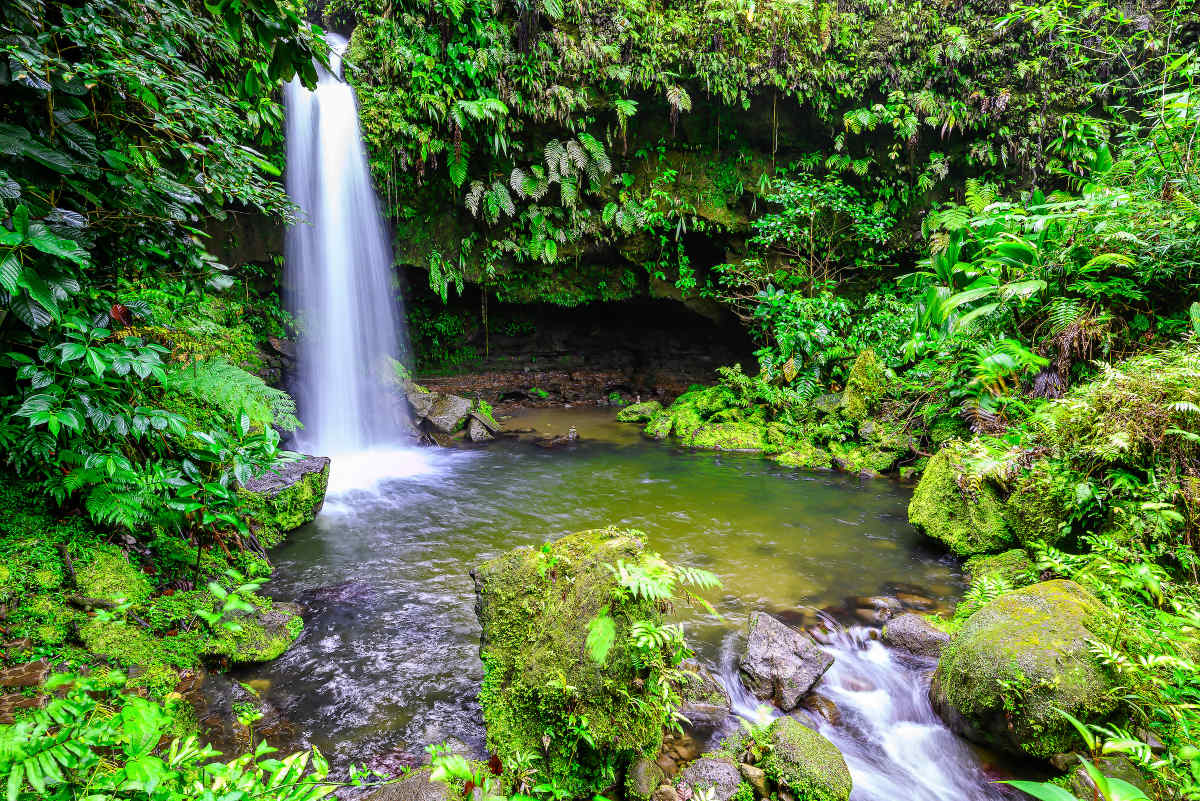Caribbean Adventure in Dominica - Vacation Package & Tour