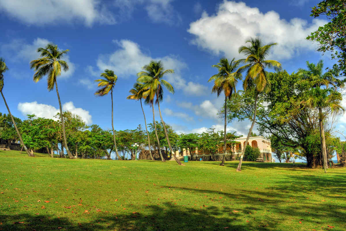 Escape to St. Lucia - Vacation Package & Tour