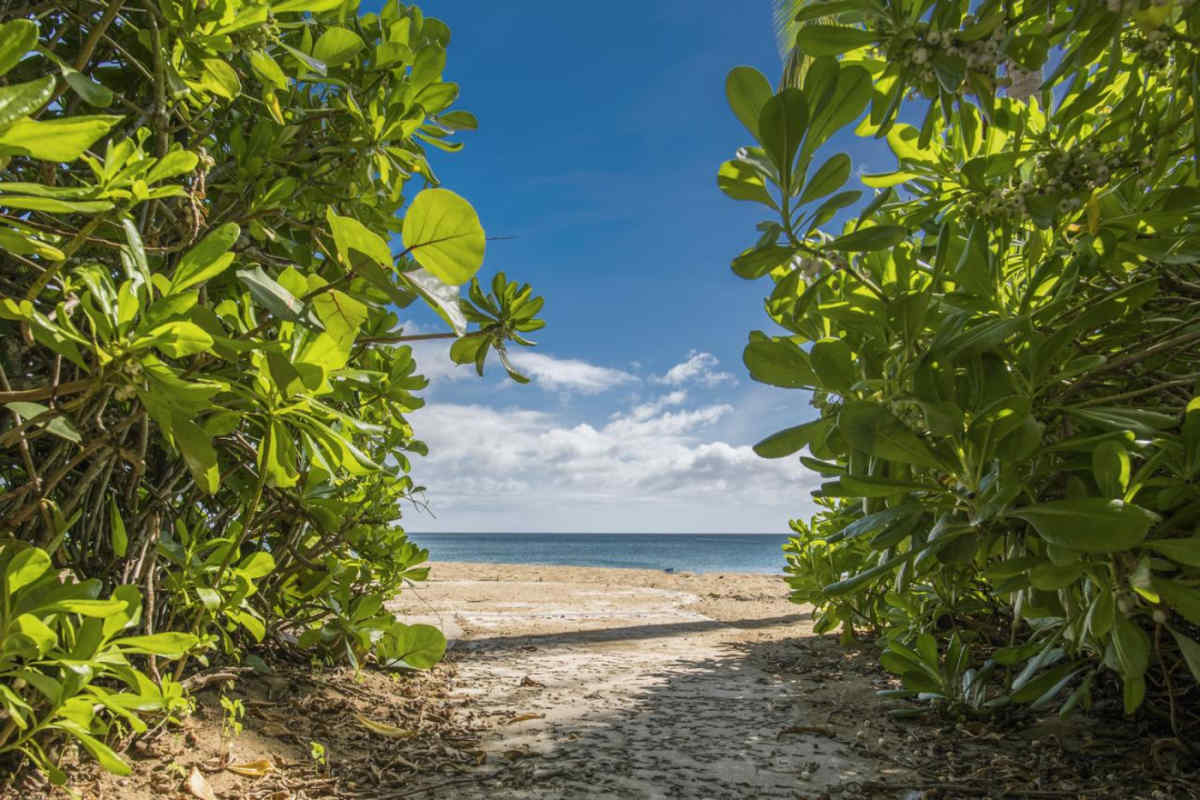 The Town of Beautiful Sunsets: Rincón, Puerto Rico - Vacation Package ...