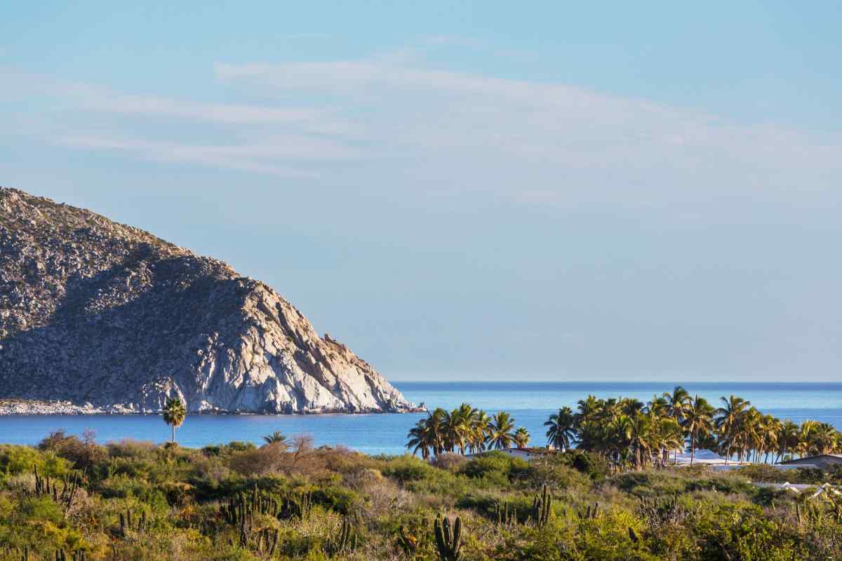 Discover the Wildlife & Beaches of Baja - Vacation Package & Tour