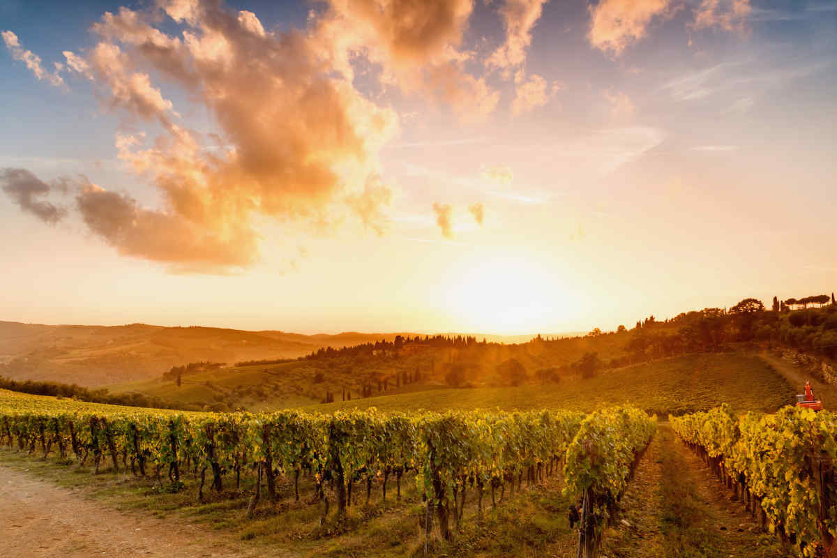 Tuscan Castle Experience Upgrade - Vacation Package & Tour