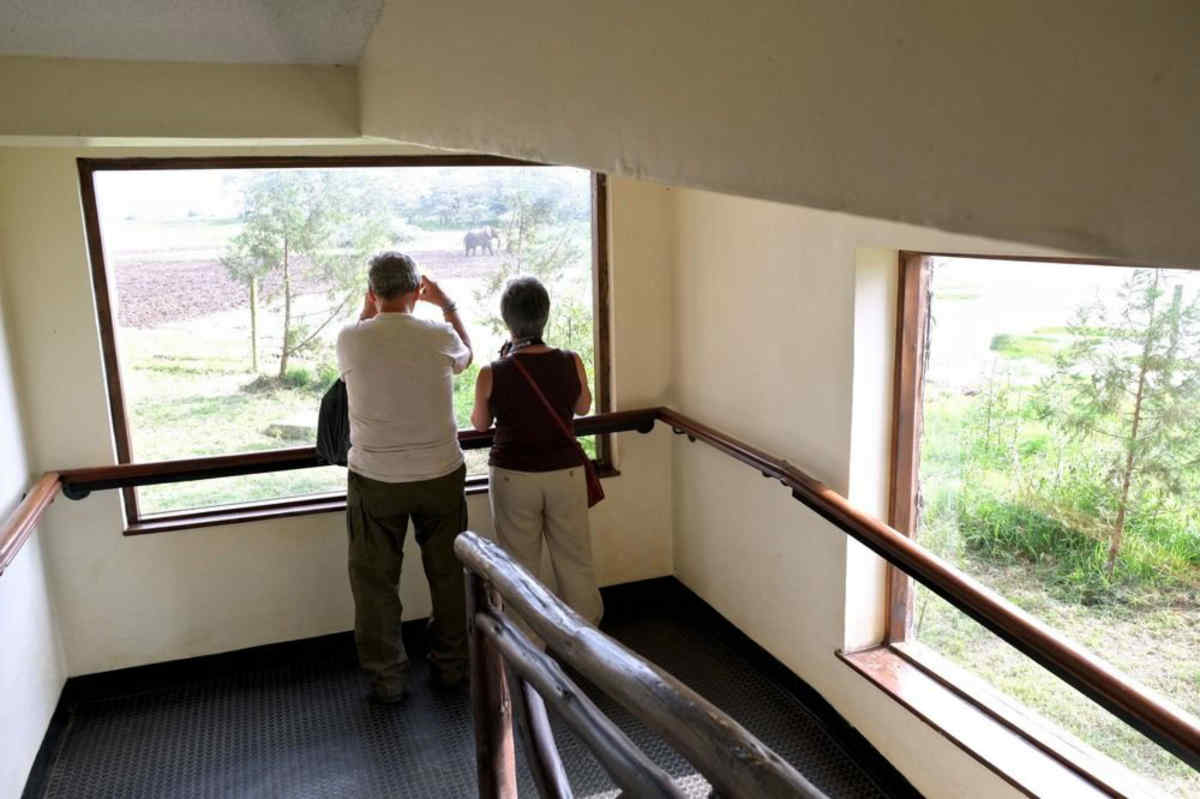 Treetops Hotel, Nyeri | GreatValueVacations.com