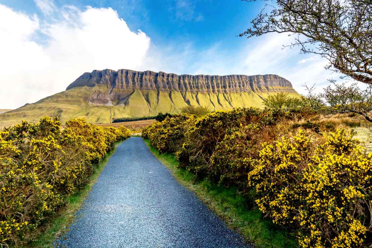 Irish Countryside & Castle Stay Upgrade - Vacation Package & Tour