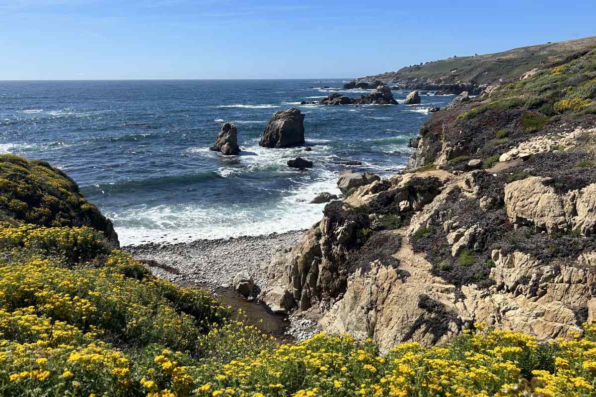California’s Natural Wonders: Yosemite, Sequoia and Monterey - Vacation ...