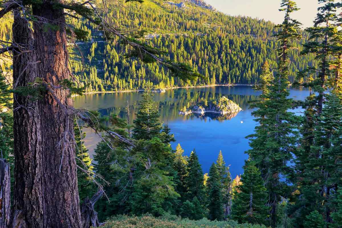 Highlights of Northern California - Vacation Package & Tour