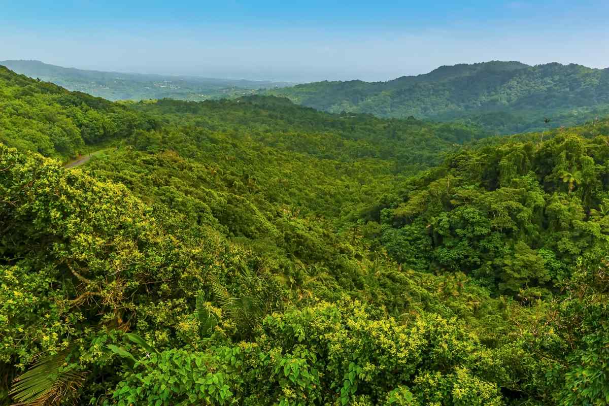 Relax in the Caribbean: The Island of Grenada Upgrade - Vacation ...