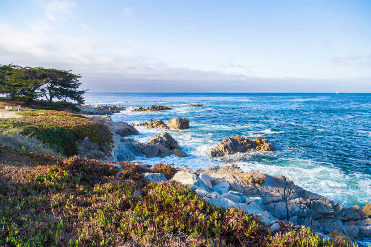 California’s Natural Wonders: Yosemite, Sequoia and Monterey - Vacation ...