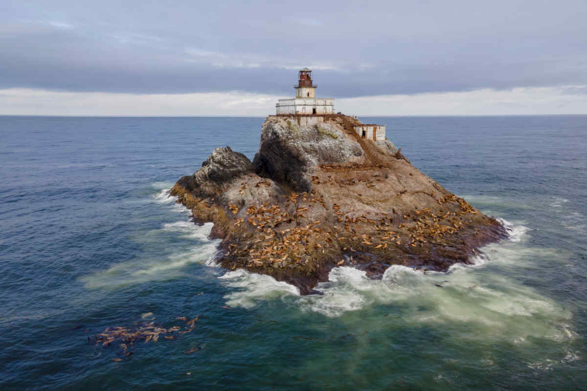 Best of Oregon: Portland, Wine Country & the Coast - Vacation Package ...