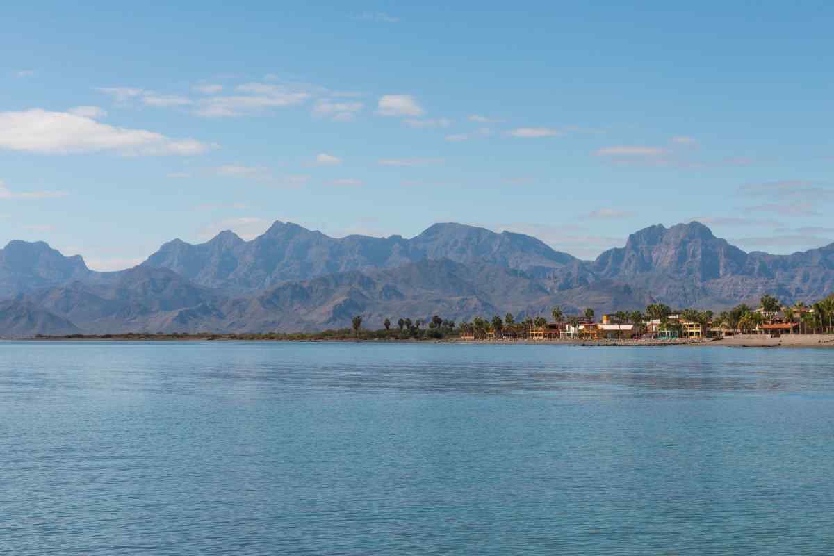 Discover the Wildlife & Beaches of Baja - Vacation Package & Tour