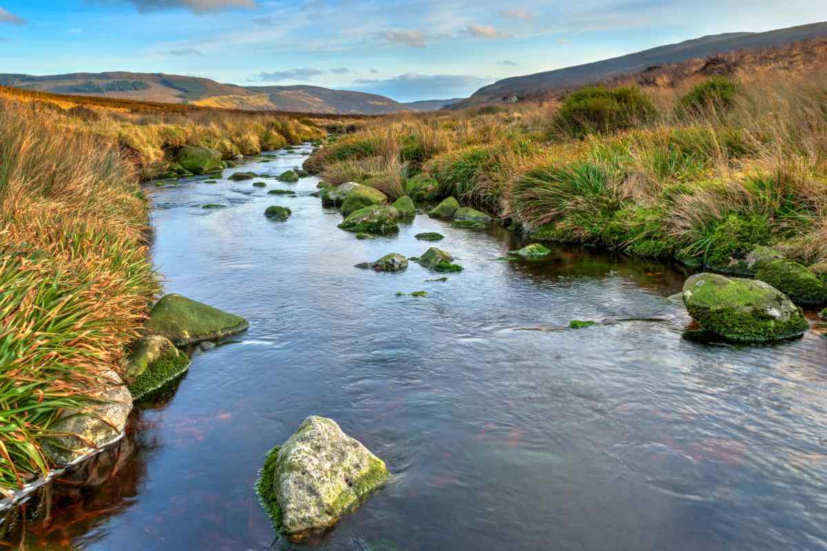 Ireland on Foot: Dublin City Trek & Wicklow Way Hike