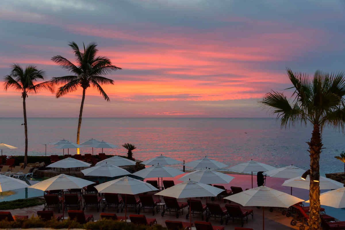 Discover the Wildlife & Beaches of Baja - Vacation Package & Tour
