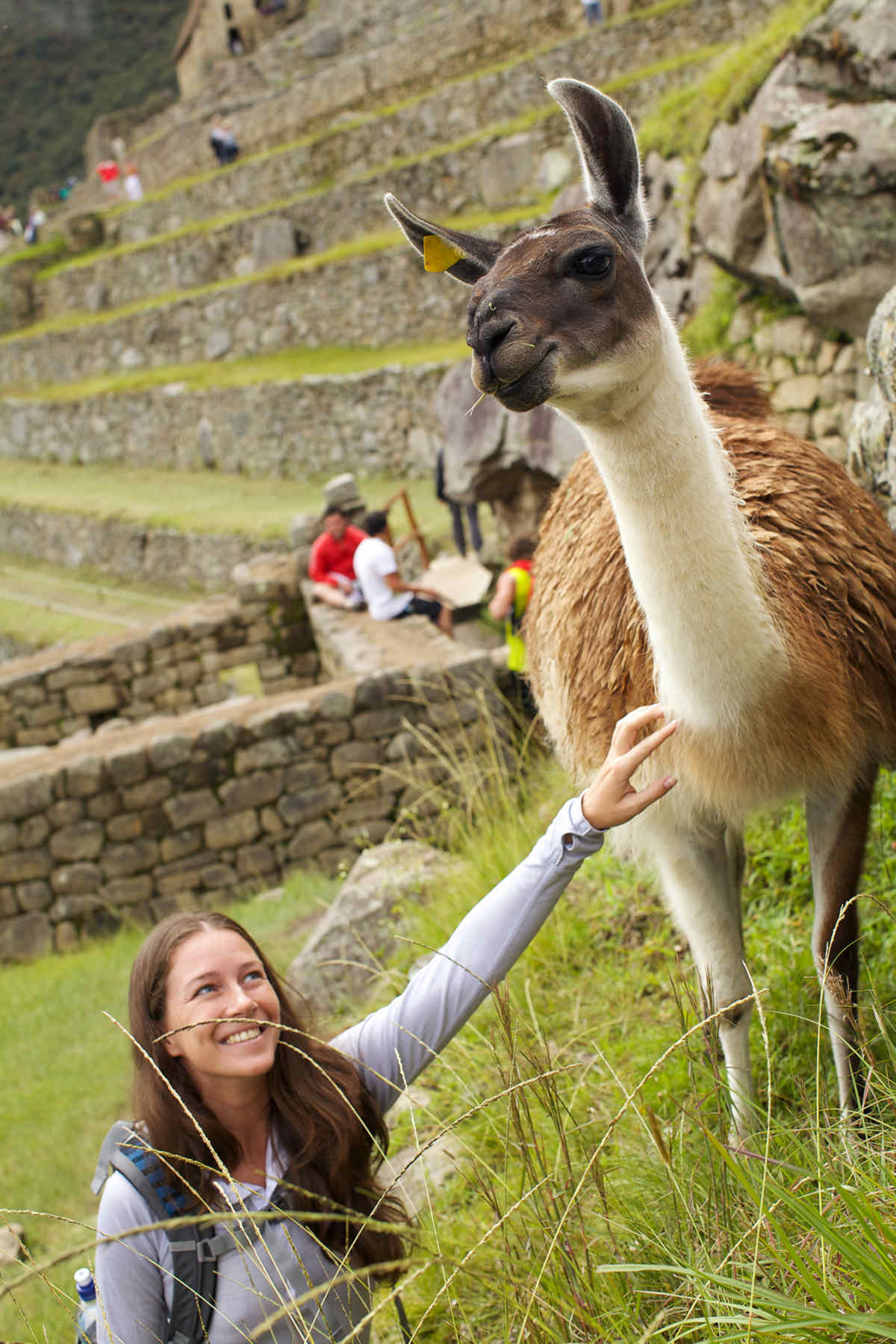 All Inclusive Vacation Package to Peru | Peru: Machu Picchu & The ...
