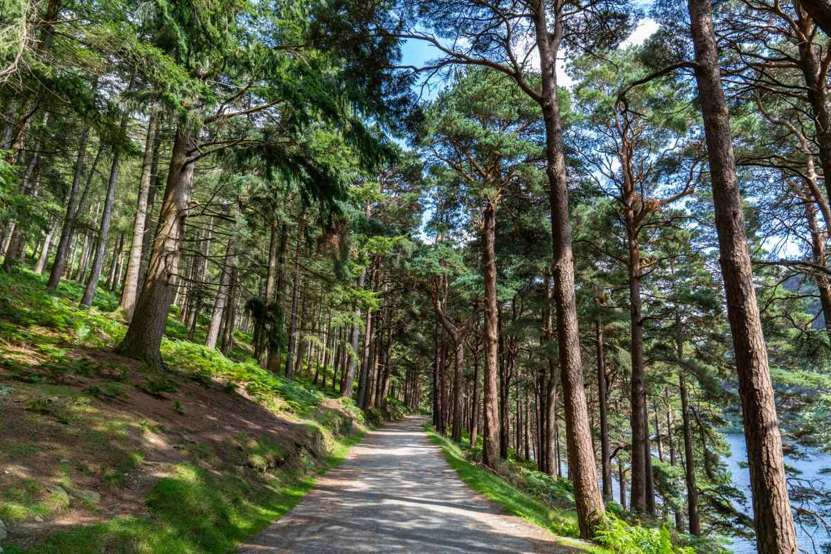 Ireland on Foot: Dublin City Trek & Wicklow Way Hike