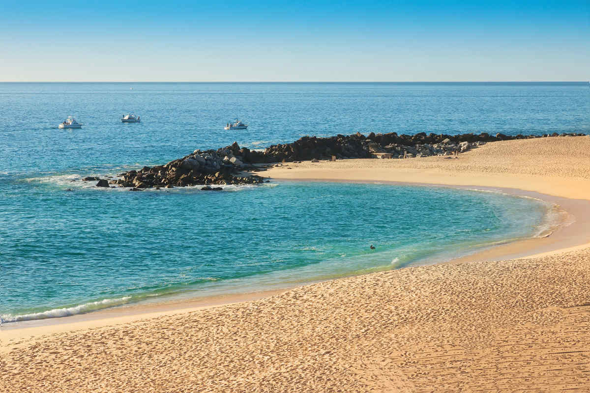 Discover the Wildlife & Beaches of Baja - Vacation Package & Tour