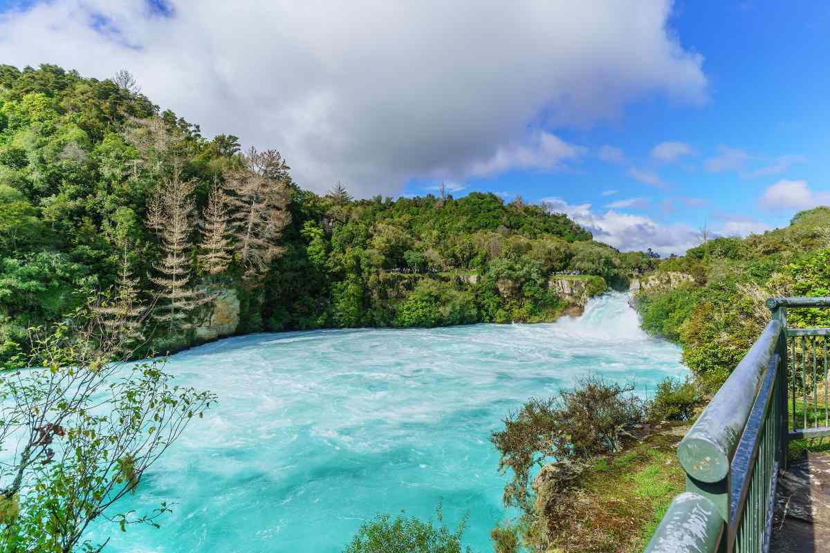 Northern New Zealand Discovery