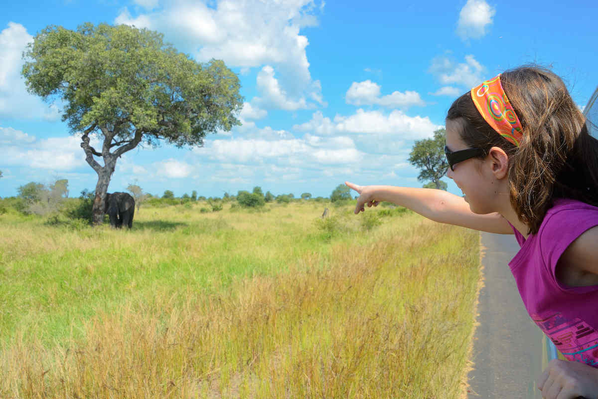 South African Family Adventure - Holiday Package & Tour