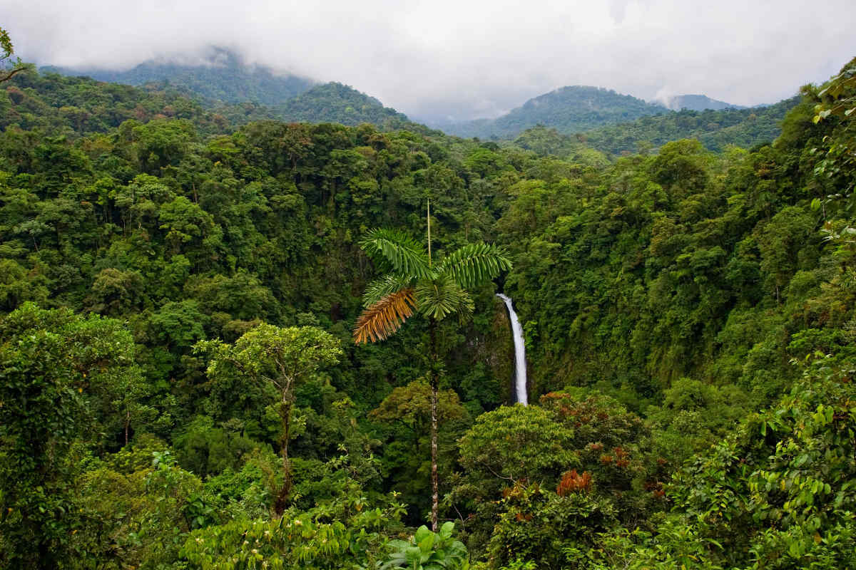 Costa Rican Adventure: White Water Rafting, Zip Lines & Snorkeling ...