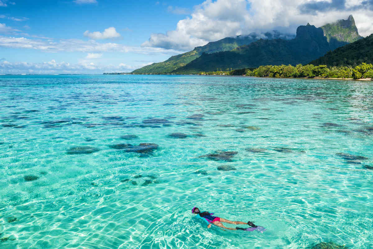 Polynesian Paradise - Vacation Package & Tour