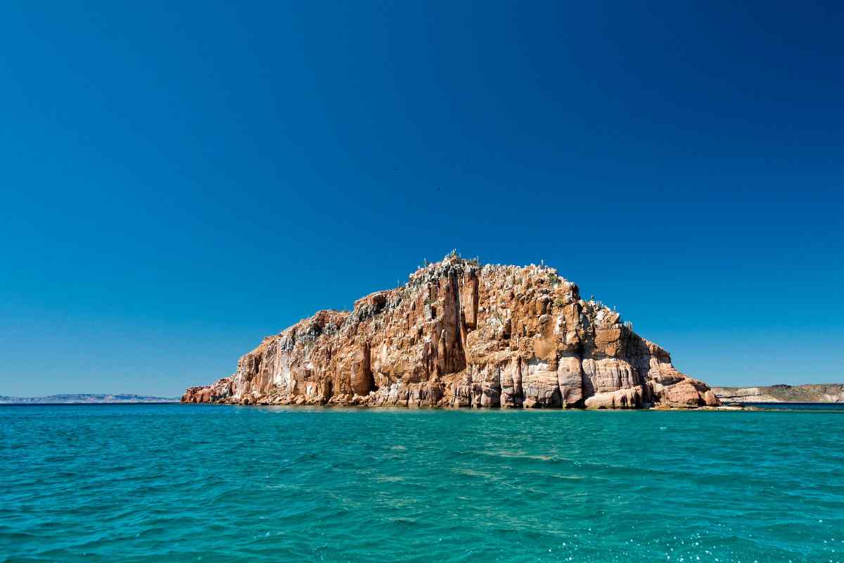 Discover the Wildlife & Beaches of Baja