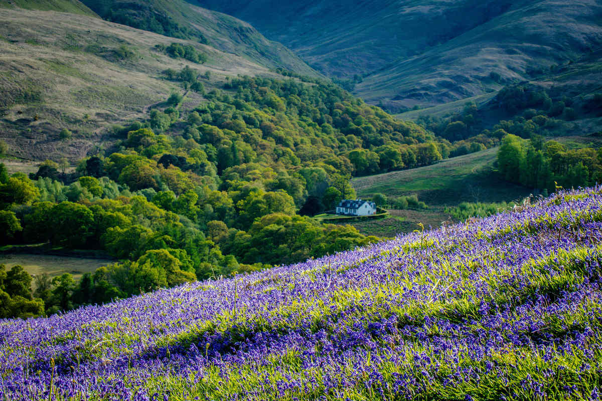 Ireland and Scotland B&B Experience - Vacation Package & Tour