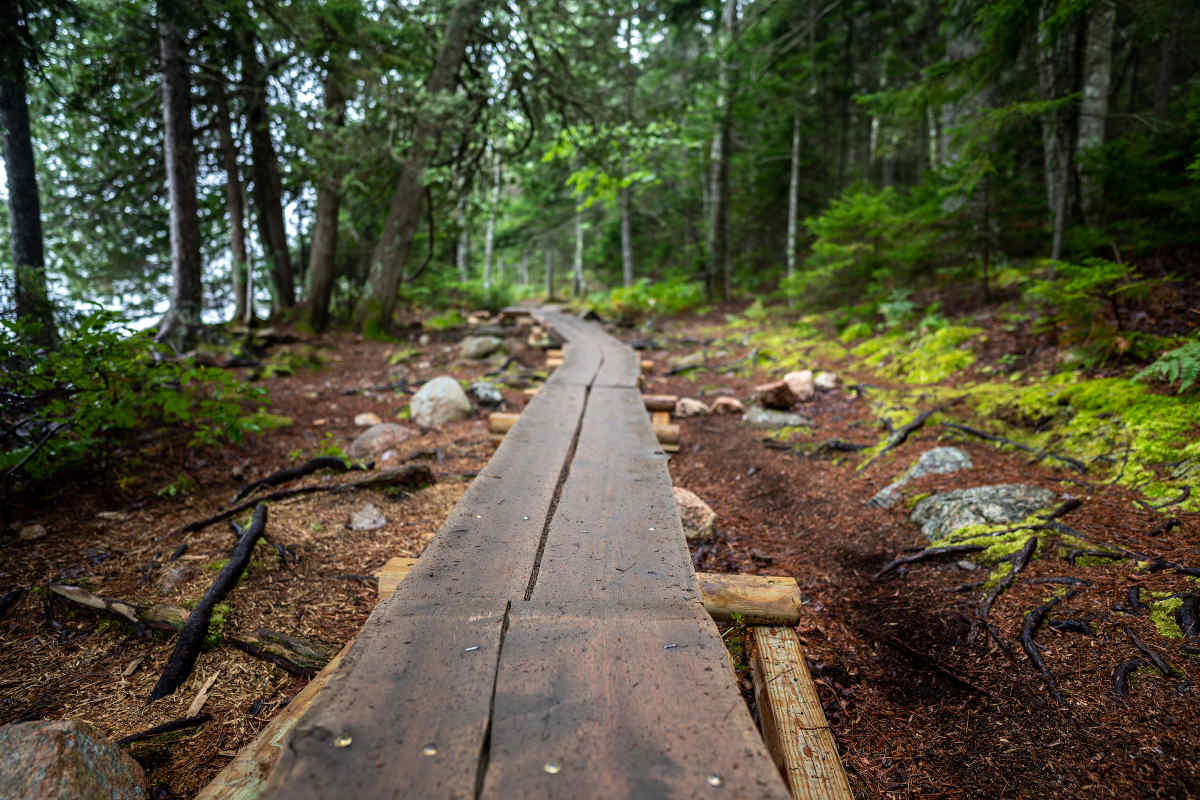 Road Trip: Portland & Bar Harbor