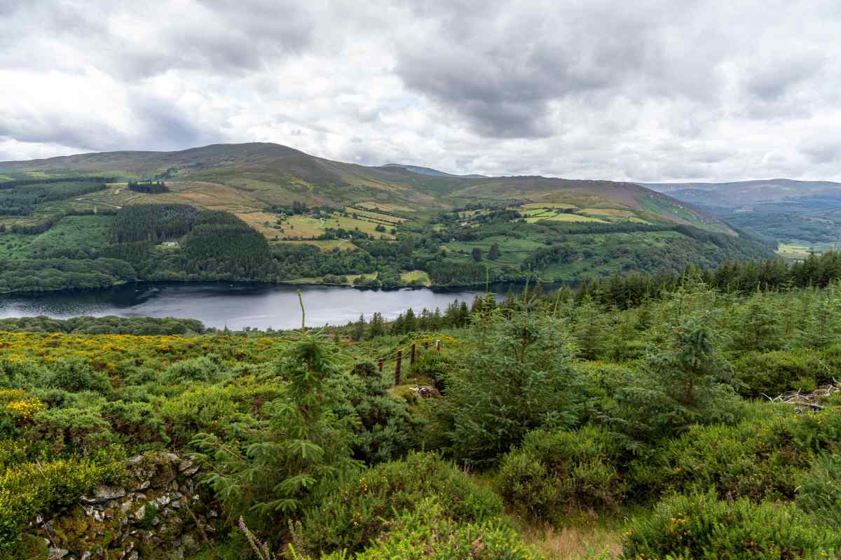 Ireland on Foot: Dublin City Trek & Wicklow Way Hike