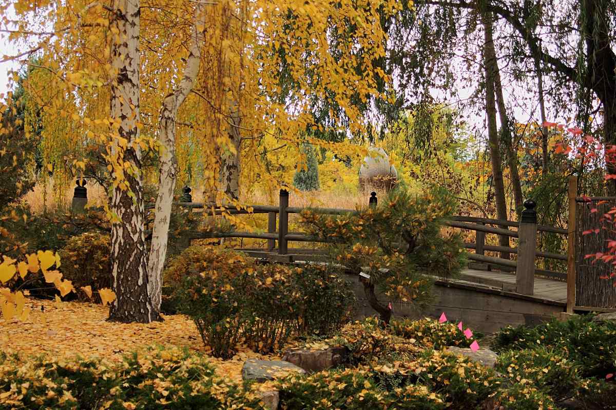 Denver Explorer - Holiday Package & Tour
