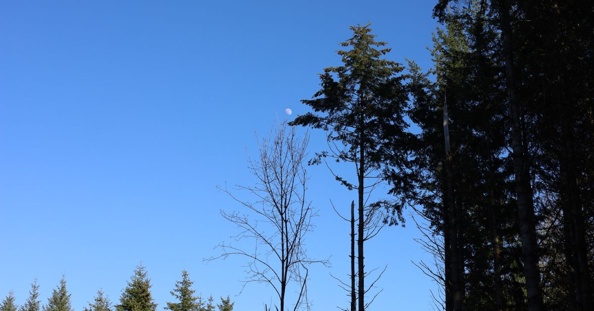 A/B Photography | Chehalem Ridge Nature Park