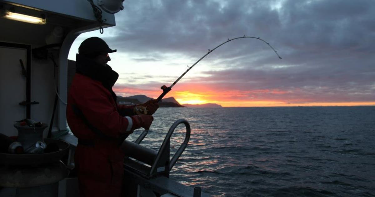 Actin Fishing - Fjord Norway