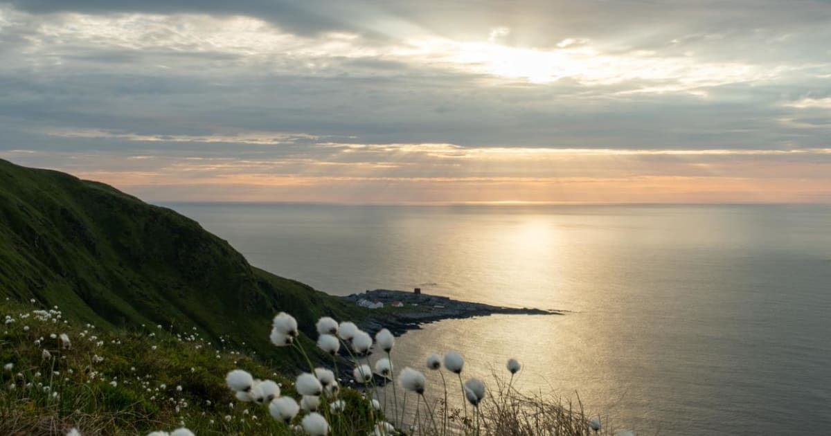 Guided hike to Runde lighthouse - Fjord Norway