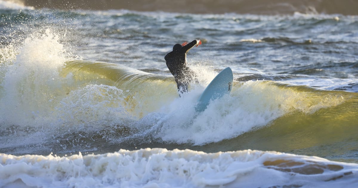 Surf at Karmøy beaches - Fjord Norway