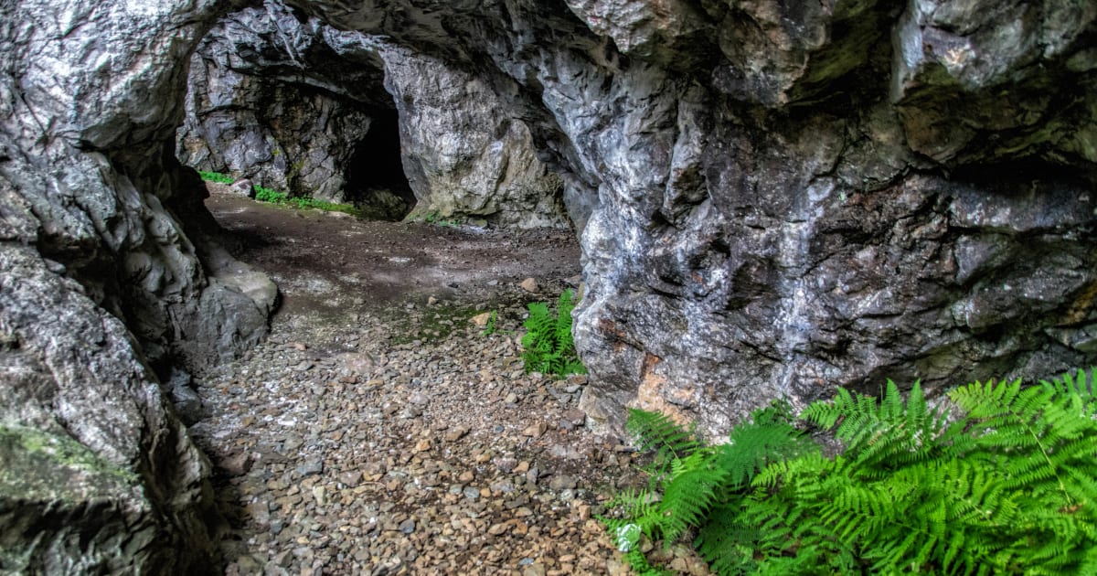 The Gold Mines at Lykling - Fjord Norway