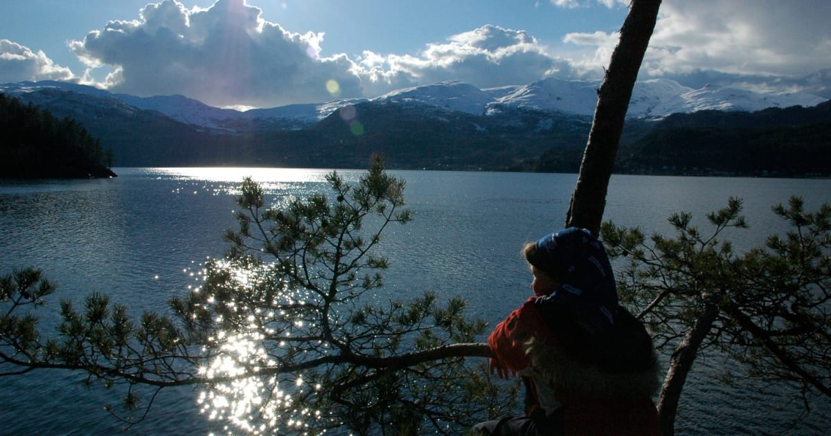 Saudafjorden in Sauda - Fjord Norway