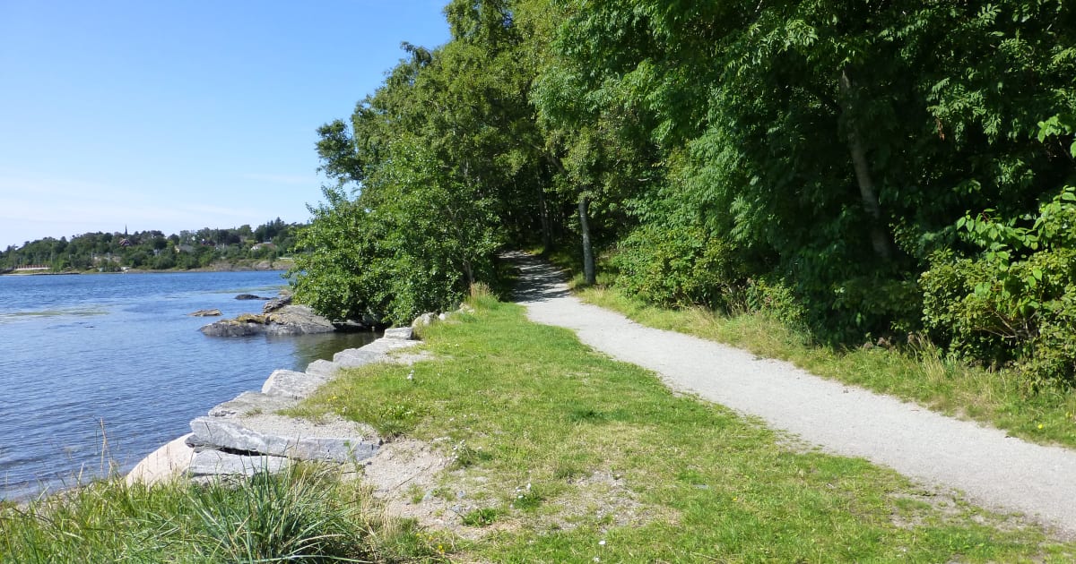 Vaulen beach - Fjord Norway