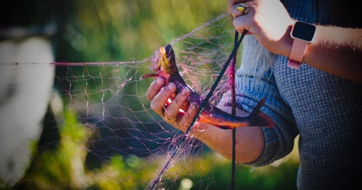 Trout Fishing at Yndestad Gard - Fjord Norway