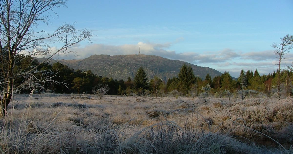 Countryside and Culture Walk at Huglo - Fjord Norway