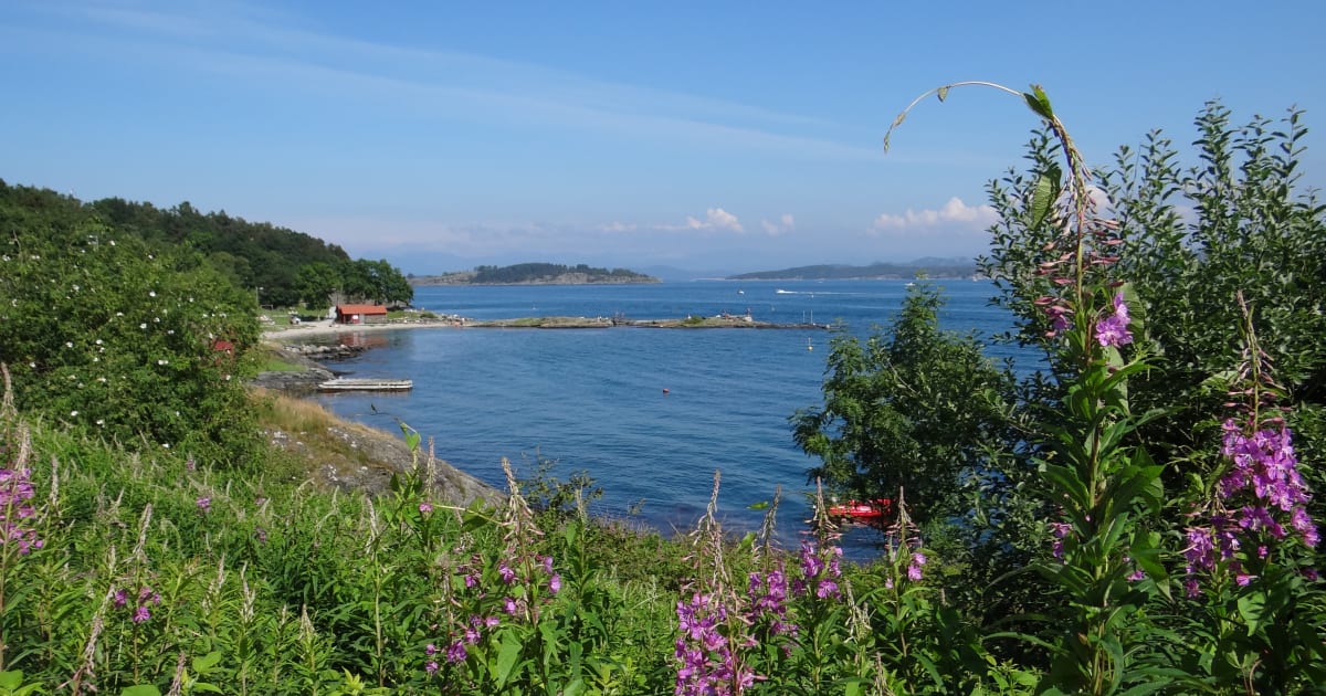 Vardenturen hike in Stavanger - Fjord Norway