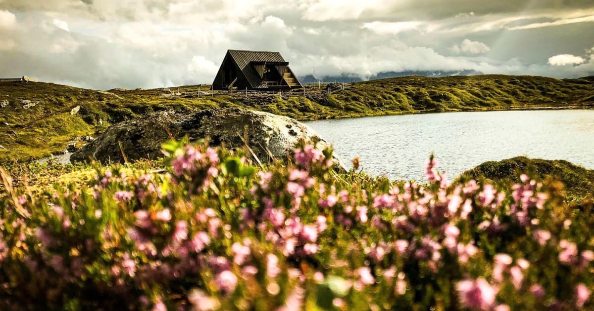 Day trip cabin in Naustdal - Steinkorshytta - Fjord Norway