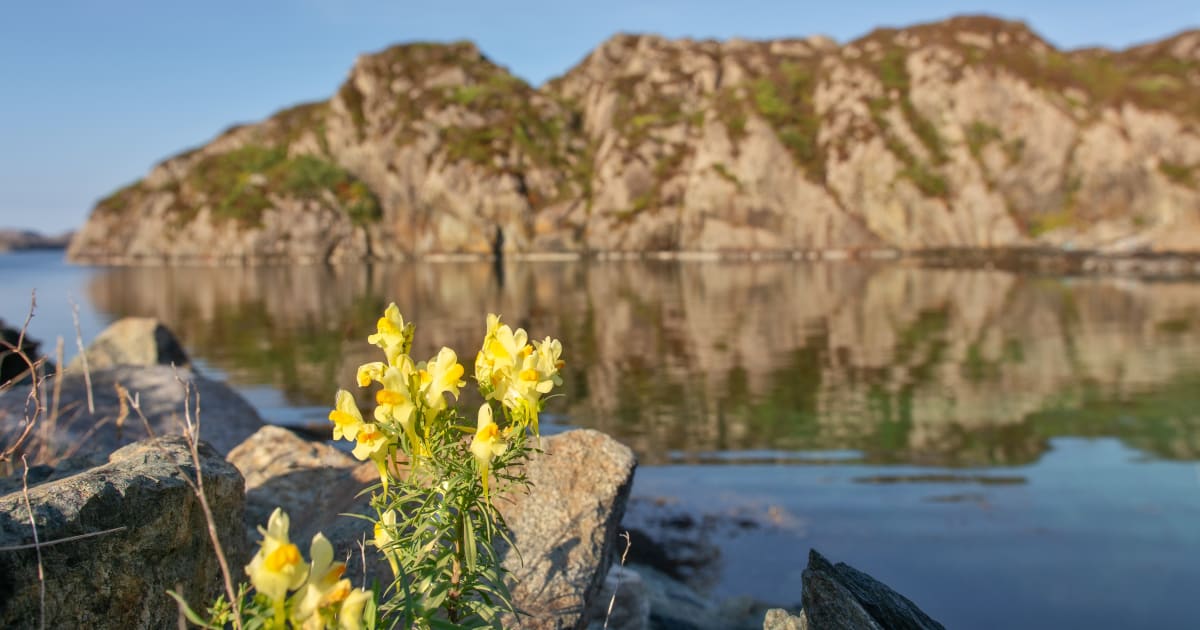 Sunnhordland - Merket Berekraftig Reisemål - Fjord Norway