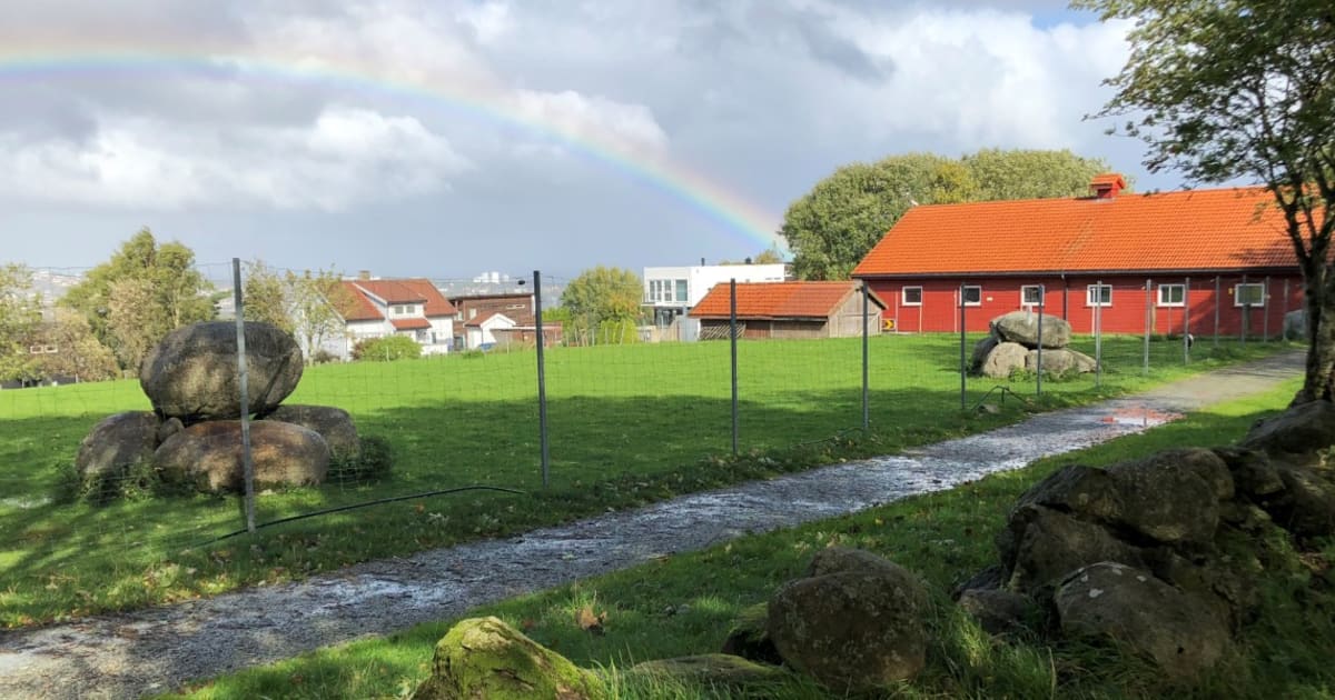 Gausel Fritidsgård - Fjord Norway
