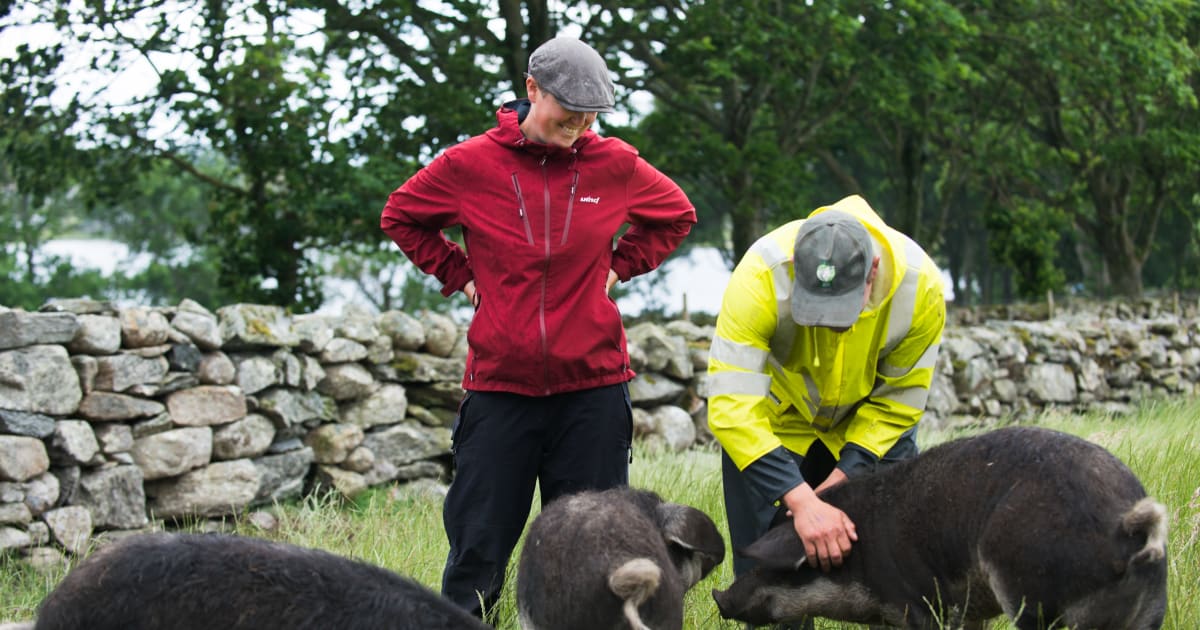 Guided tour of the protected cultural environment at Utstein - Fjord Norway