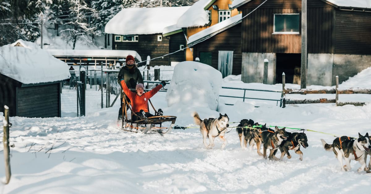 Sirdal Huskyfarm - Fjord Norway