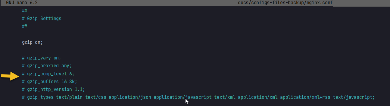 How To Enable Text Compression Using Gzip And Nginx To Improve Website Performance Automagic 3443