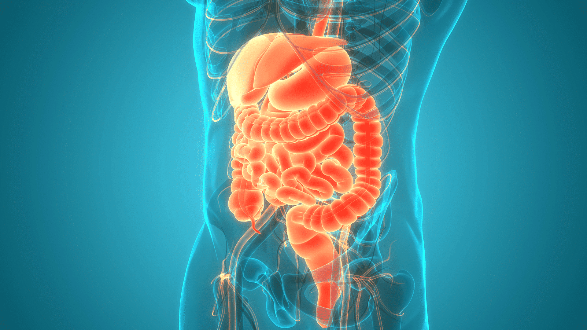 Traumatic Small Bowel Injury Trauma Surgery - GMKA - Global Medical ...